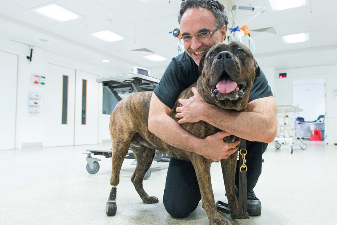 Supervet Professor Noel Fitzpatrick to Speak at Joint PHT-UoP Health ...